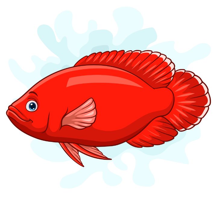 Cartoon Super red Oscar fish - REYYARTS - Drawings & Illustration ...