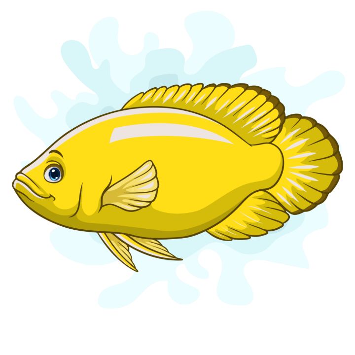 Cartoon Yellow Oscar tiger fish - REYYARTS - Drawings & Illustration ...