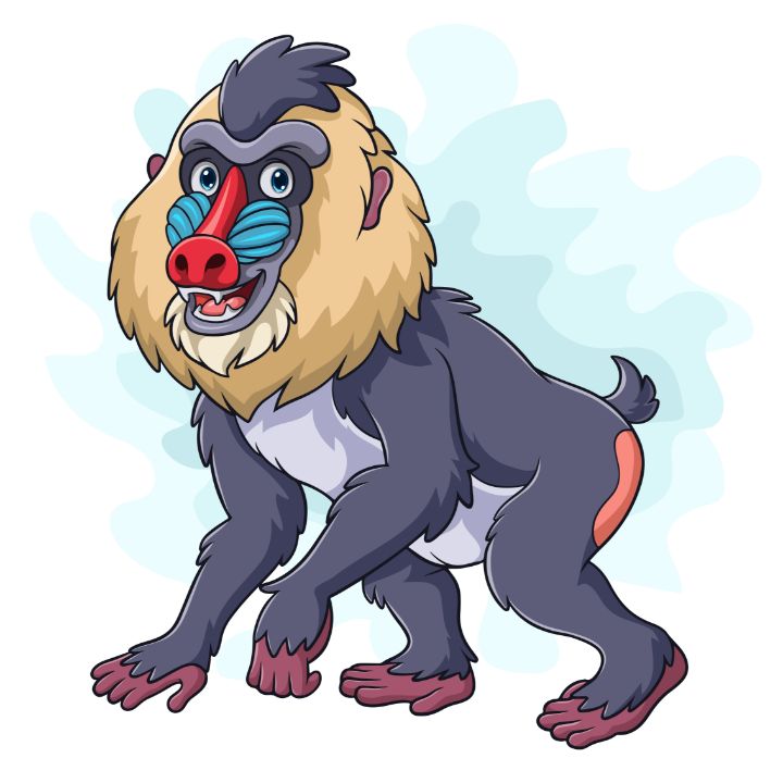Cartoon Mandrill monkey - REYYARTS - Drawings & Illustration, Animals ...