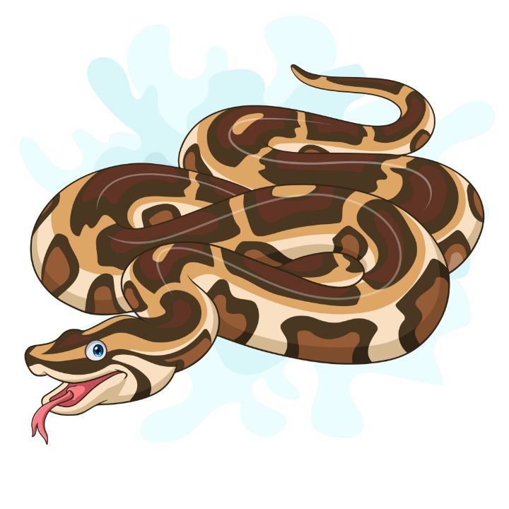 Cartoon burmese python - REYYARTS - Drawings & Illustration, Animals ...