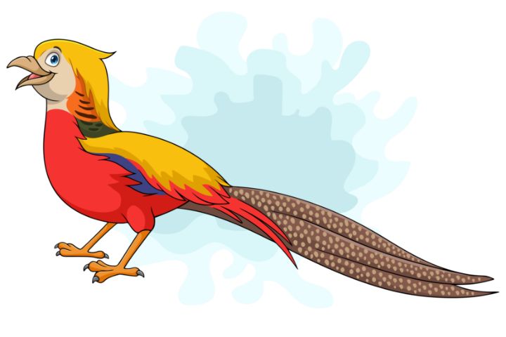 Cartoon golden pheasant bird - REYYARTS - Drawings & Illustration ...