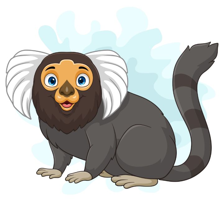 Cartoon pygmy marmoset - REYYARTS - Drawings & Illustration, Animals ...