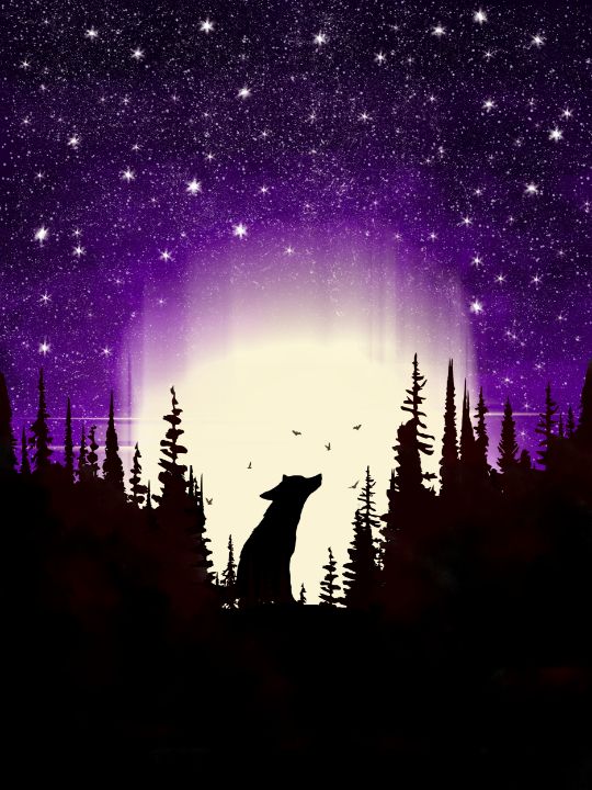 Funny Fox Episode 5 - Orignal Wild Art - Drawings & Illustration ...