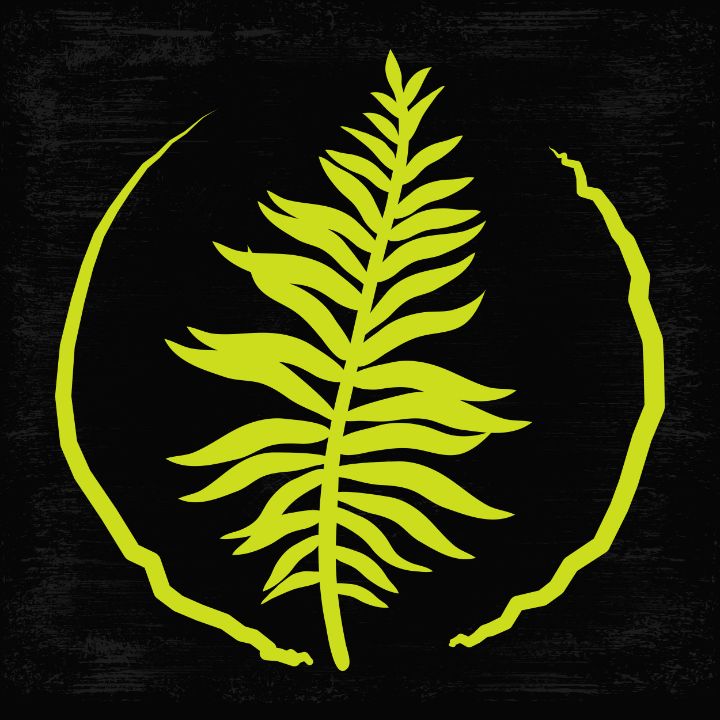 Magic Fern Episode 29 - Orignal Wild Art - Digital Art & AI, Flowers ...