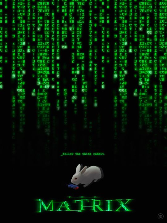 White Rabbit Matrix White Rabbit Bar Opening In Former Matrix Space