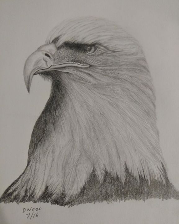 Eagle - DWOOD - Drawings & Illustration, Animals, Birds, & Fish, Birds ...