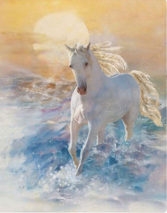 Magic Stallion - WILD ART BY MELINDA - Photography, Animals, Birds ...