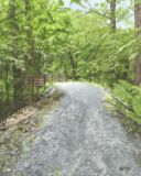 Samuel Grove - Paintings & Prints