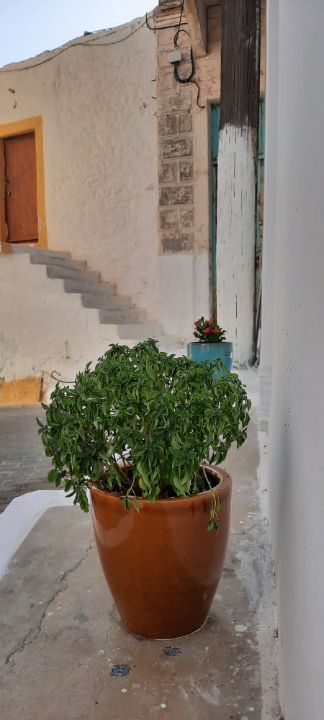 Greek island - Imerti - Photography, Places & Travel, Europe, Greece ...