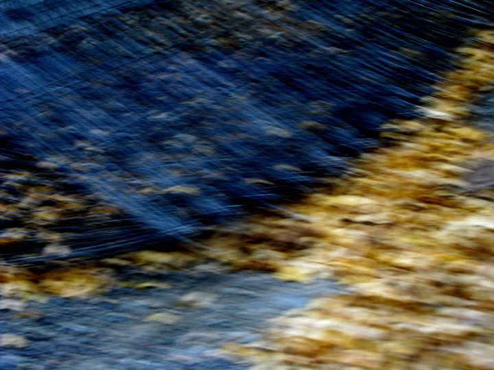 Bosque circular llll - Gabriela Salomone Fotografía - Photography ...