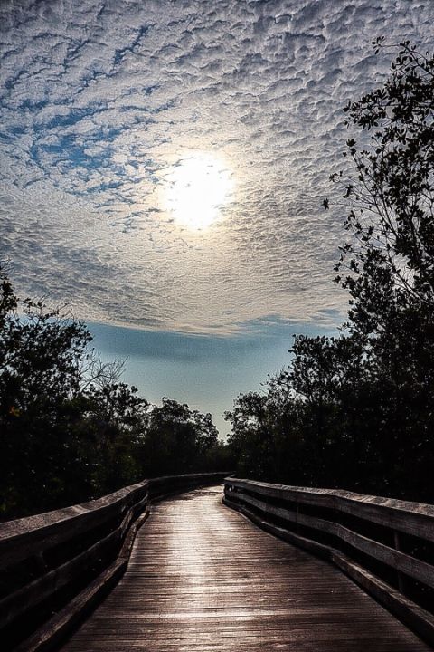 beautiful boardwalk and sky above - CC photography - Photography ...