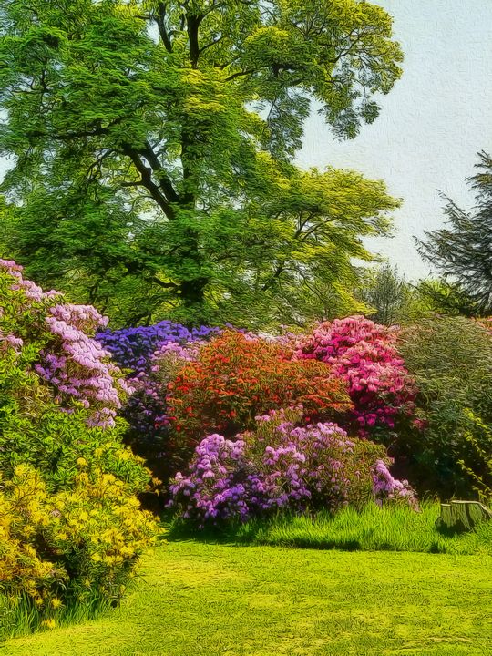 Flowers at Cawthorne - Chris Bradbury Art - Digital Art & AI ...