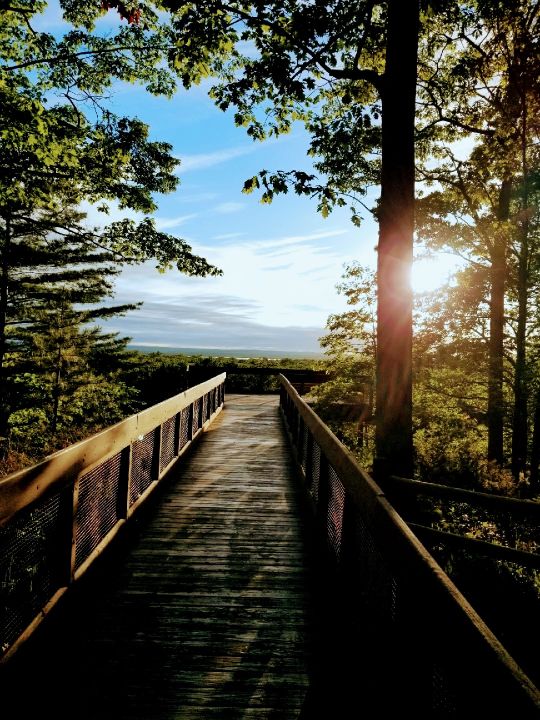 Angel Marie - Photography