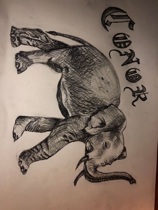 Elephant - Orla Boyle - Paintings & Prints, Animals, Birds, & Fish ...