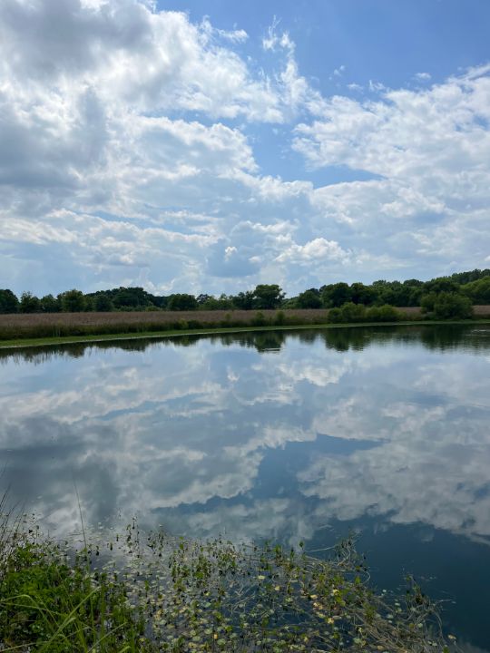 Family Pond - DB FLOWER ART - Photography, Landscapes & Nature, Lakes ...