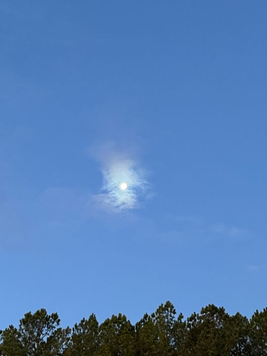 Sunscapes - DB FLOWER ART - Photography, Landscapes & Nature, Skyscapes ...