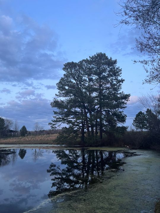 DB FLOWER ART - Paintings & Prints, Photography, Digital Art & AI