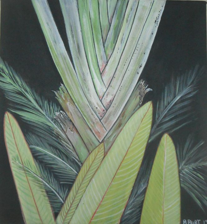 Dense forest - Bruce Burt artist - Paintings & Prints, Flowers, Plants ...