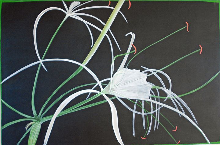 spider Lilly - Bruce Burt artist - Paintings & Prints, Flowers, Plants ...