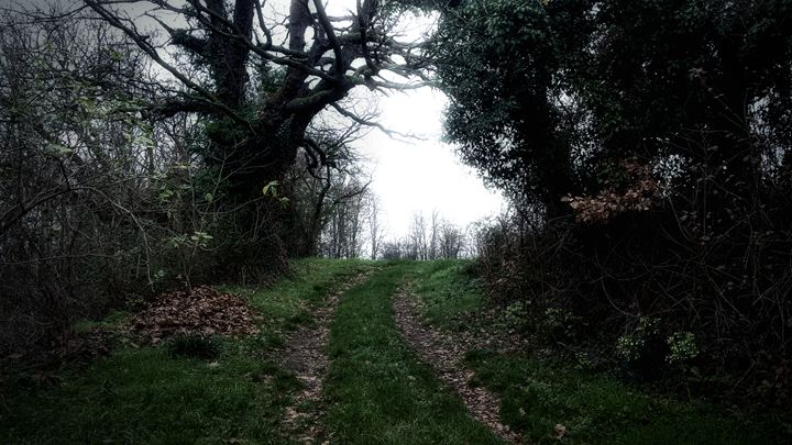 French Wilderness Track - Char la Française - Photography, Landscapes ...