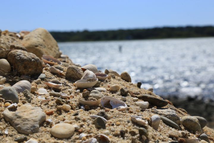 sand shells and rocks at jaws bridge - Brooklyn Portrait - Photography ...