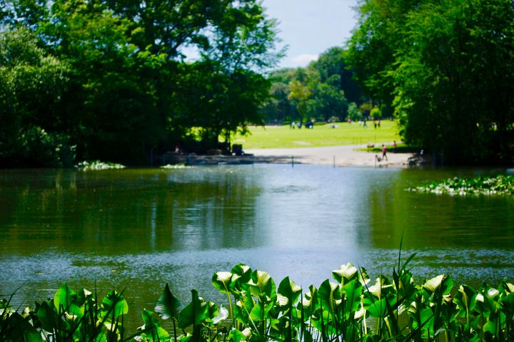 Prospect park lake II - Brooklyn Portrait - Photography, Landscapes ...