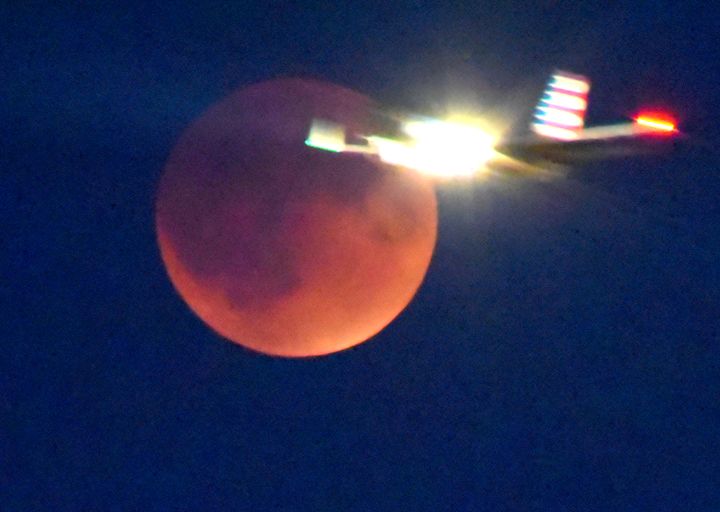 Eclipse of Flight - Shirleypix Art & Photography - Photography ...