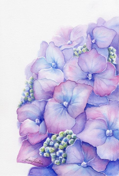 Blue Violet Hydrangea - Anni Kråka - Paintings & Prints, Flowers ...