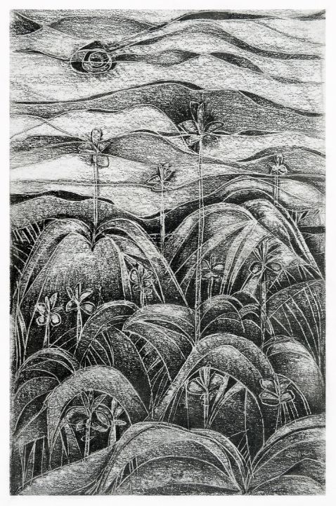 Buttocks - Reyner - Drawings & Illustration, Landscapes & Nature ...