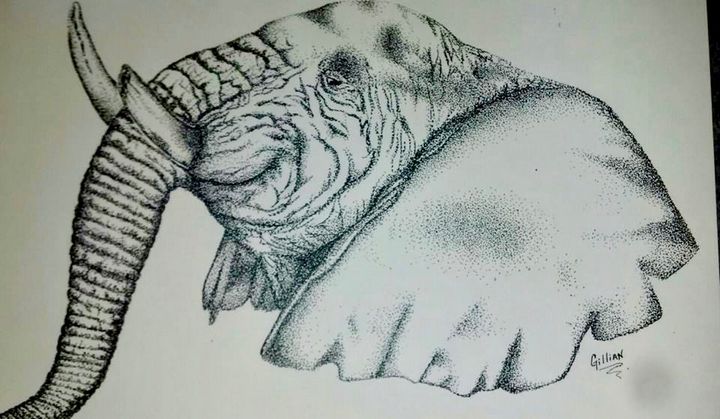 Never Forget - ArtScope - Drawings & Illustration, Animals, Birds ...