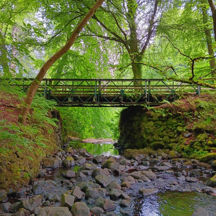 Irish Bridge