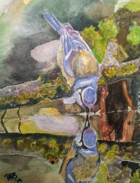 Reflected Bluebird - Paige1Designs - Paintings & Prints, Animals, Birds ...