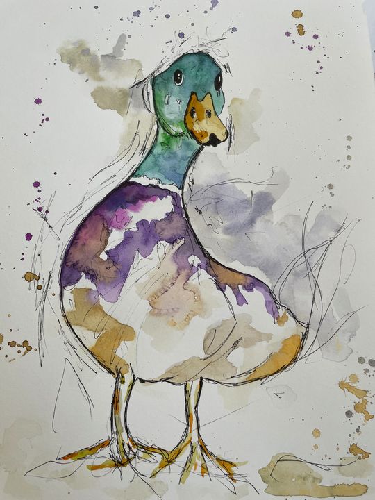 Dudley Duck - Welsh_Artist - Drawings & Illustration, Animals, Birds ...