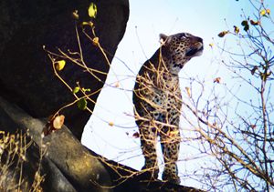 Mark Dallimore - Photography, Drawings & Illustration, Paintings & Prints