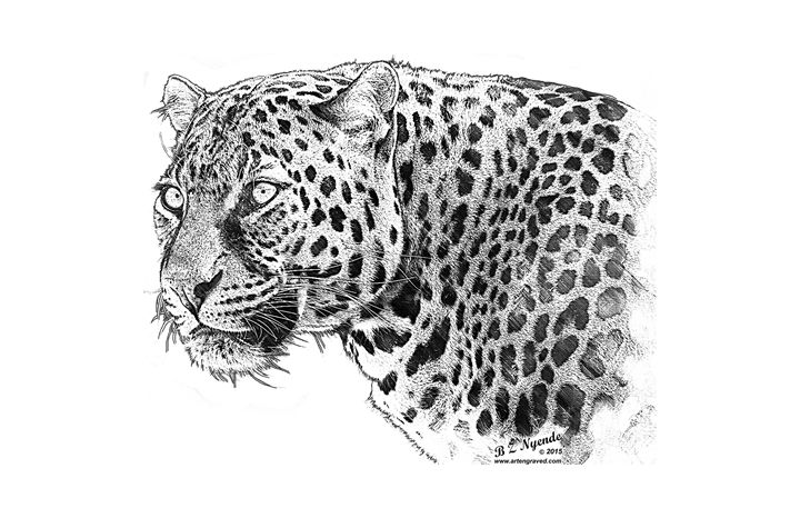 Leopard - Art Engraved - Drawings & Illustration, Animals, Birds ...