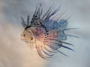 StevesArt - Drawings & Illustration