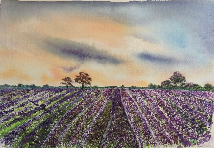 Field of colour - Angela Payne - Paintings & Prints, Landscapes ...