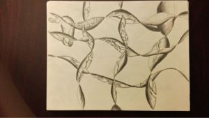 Peaveys SHKNAWE - Drawings & Illustration