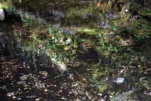 Magic Flow 5 - piretmangelart - Photography, Fantasy & Mythology ...