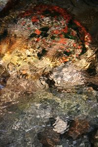 Magic Flow 5 - piretmangelart - Photography, Fantasy & Mythology ...