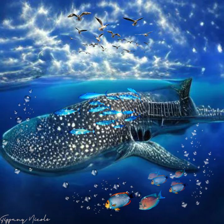Whale Shark - Disabled Barbie Art - Digital Art & AI, Animals, Birds ...