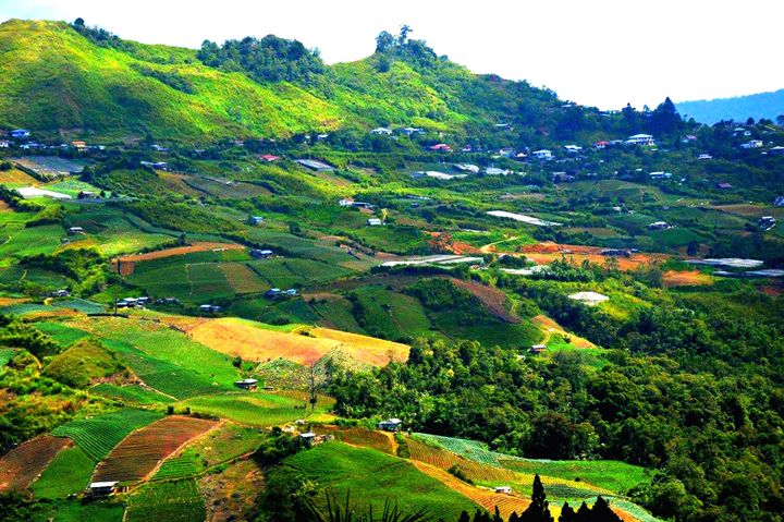 Tineetan - Photography