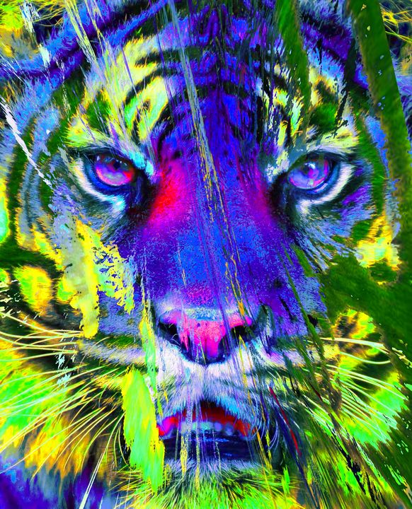 Bc cat 0135 - BC Cats Art - Digital Art & AI, Animals, Birds, & Fish ...