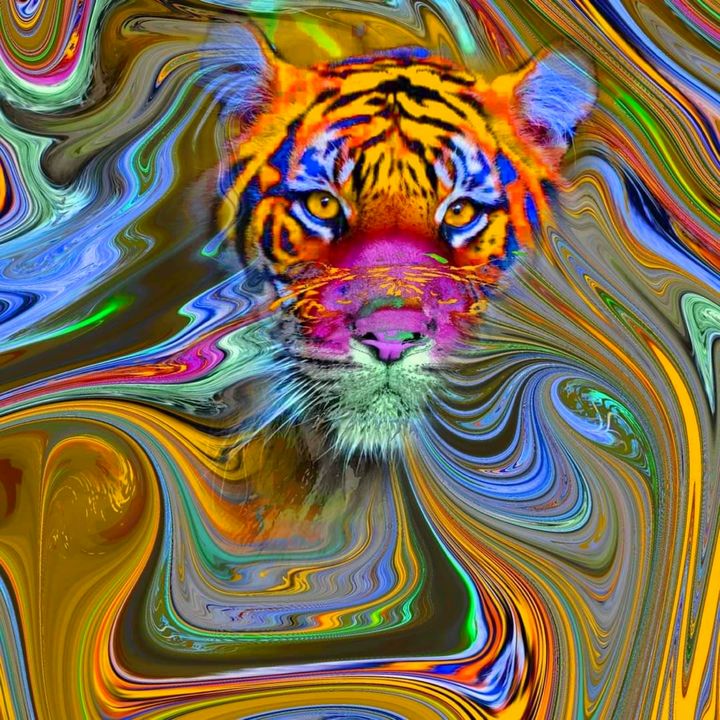 Bc cat 0085 - BC Cats Art - Digital Art & AI, Animals, Birds, & Fish ...