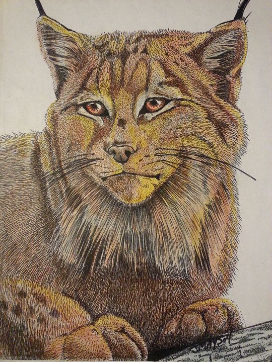 Maxd-Grafx-Ink - Drawings & Illustration, Photography, Paintings & Prints