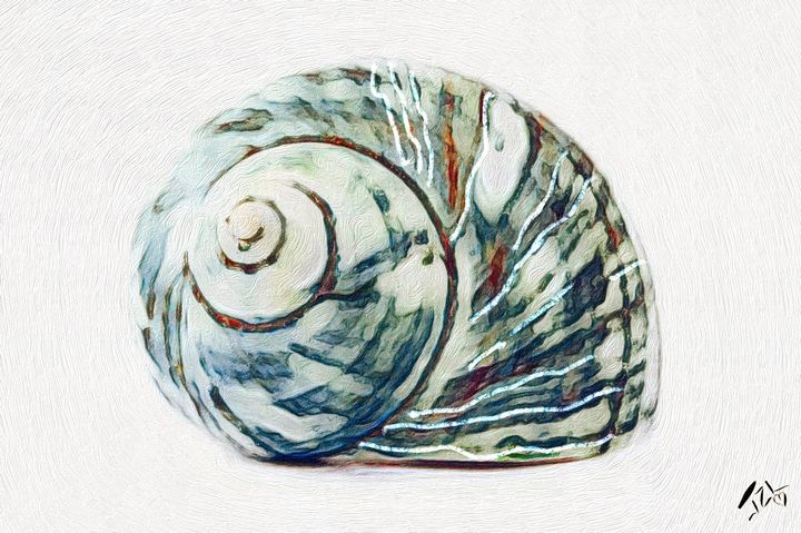 Shell - JLeBrun Studio - Digital Art & AI, Landscapes & Nature, Beach ...