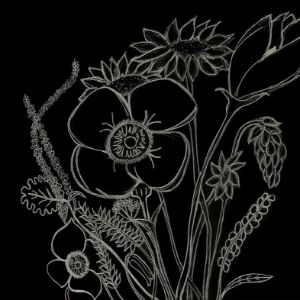 HEX9 - Drawings & Illustration, Paintings & Prints