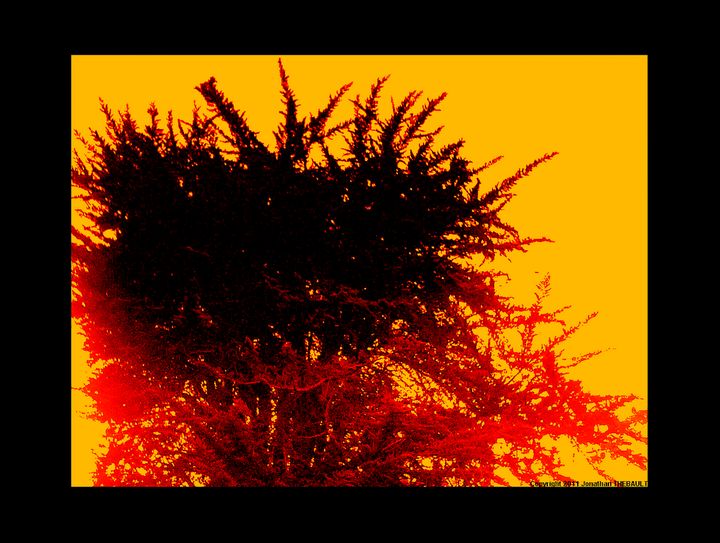 Interfécondation - Jonathan THEBAULT - Digital Art & AI, Abstract ...