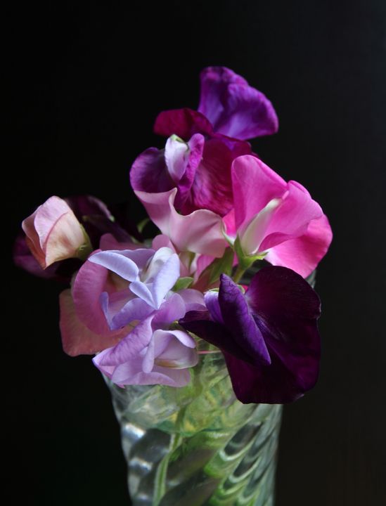 A Vase Of Sweet Peas - JT54Photography - Photography, Flowers, Plants ...