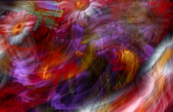 Abstract Flowers Four - JT54Photography - Photography, Abstract ...